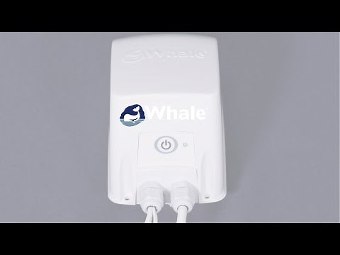 Switch Connect Transformer & Flow Switch Fault Finding by Whale