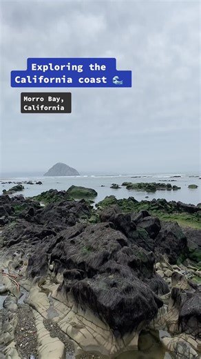 Exploring the California Coast: Morro Bay & San Simeon Tide Pools
