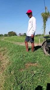 22K views · 366 reactions | fish feeding | W Bush Tv | Facebook