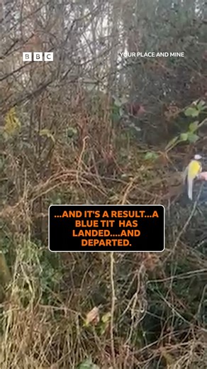 It's the RSPB Northern Ireland's Big Garden Birdwatch 2026, you can hear how to get involved on #YPAM this Saturday, Dot Blakely & Eve Blair have been to #Bangor to count some #birds | BBC Radio Ulster