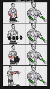 ✅ Forearm Workout ① Dumbbell Hands Torsion ② Dumbbell Rotation ③ Weight Plate Rotation ④ Wrist Roller 3 sets 12-15 reps | Fitnesslabo