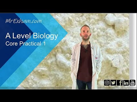 Core Practical 1 - A Level Biology