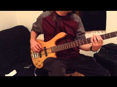 SWR "Workingman's Bass" 12 Combo Demo- Jason Dotson
