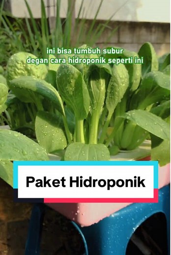 Paket Hidroponik: Menanam Sayuran Lebih Mudah