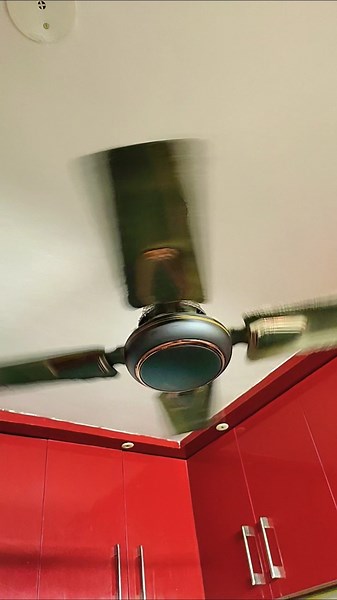 Moniac ceiling fan #shorts #fan #shortvideo #fansound #viralvideo