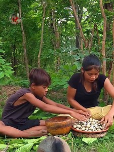 212K views · 1.7K reactions | Primitive Cooking – Quail Eggs in the Wild #cooking #food #recipe #deliciousfood | Survival Skills TV | Facebook