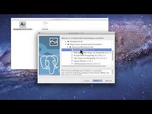 13.22 Postgres Installieren