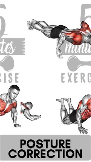 Posture Correction Workouts for Men at Home | 3D Animated Exercises