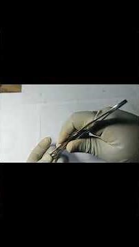 “Plain Dissection Forceps | Identification Points, Uses & Sterilization Method”