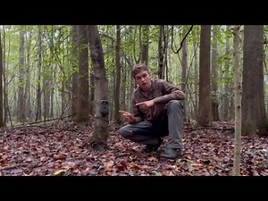 Setting up and using a trail camera! The best tips! #trailcamera #trailcam #trailcamfootage