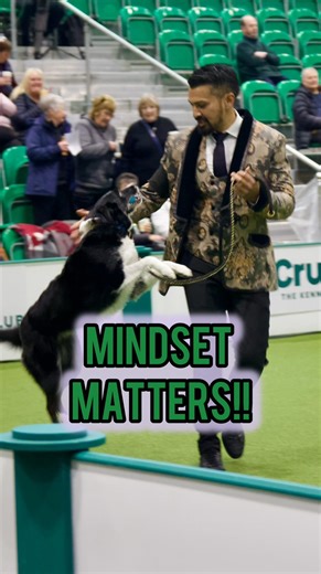 Here’s the thing about dog sports… It’s never just about the heeling pattern, the retrieve, or whether your dog remembered where you left that dumbbell. It’s about you. Your mindset. Your self-belief. The quiet voice in your head that shows up in the ring long before the steward ever calls “ready.” Think about it— 🐾 The people you surround yourself with Have you ever noticed how one person can make you feel 10 feet tall, and another can make you want to melt into the floor? Choose the ones who 