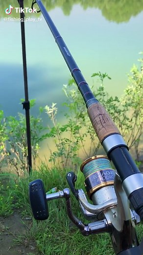 Рыбалка на реке #рыбалка #фидер #ловлянафидер #прикормканакарася #карась #ловлякарася