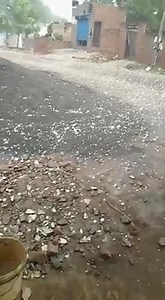 #Hisar_Rain:- जैसा कि अनुमान लगाया गया था कि मैदानी इलाकों में बारिश व ओलावृष्टि होगी। तो प०वि० के असर से हिसार जिले में हुई भारी ओलावृष्टि। धान, कपास की फसल चौपट। सिरसा, फतेहाबाद, भिवानी, रोहतक, झज्जर, जींद… ਹੋਰ में भी हुई हल्की से मध्यम बारिश। इन जिलो में भी कई जगहों पर तेज़ ओलावृष्टि देखी गई। आज रात तक पुर्वी हरियाणा, दिल्ली व साथ लगते यूपी में हल्की से मध्यम बारिश जारी रह सकती है। | Galaxy Brar