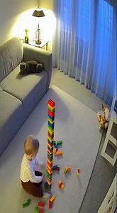 Cute cat is now afraid of lego towers