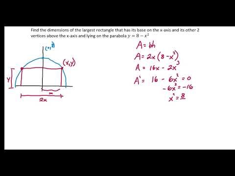 Find the dimensions of the largest rectangle