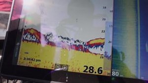 77K views · 351 reactions | Great tip for searching for fish using 2d sonar. #FishHunting #AnglersGuide #SonarTips #FishLocating #FishingTech #UnderwaterSearch #AnglingAdvice #FishFinder #SonarFishing #FishingTips | Gary Parsons | Facebook