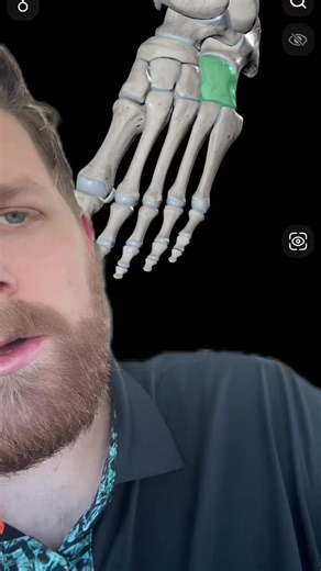 Test Your Knowledge: Foot Bones Anatomy Quiz