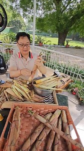 1.3M views · 53K reactions | These Fresh Bamboo shoots are all the way from Arunachal Pradesh. It's really precious so I'm preparing myself. All the visitors who come to Arunachal Pradesh may please try some Bamboo shoot dishes. Since childhood, I prepare local dishes. | Kiren Rijiju | Facebook