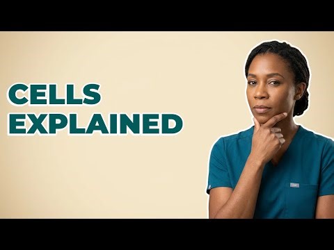 What Do Abnormal Cells Look Like Under A Microscope?