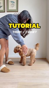 33K views · 38 reactions | ★ Teach to TOUCH! - Easy TUTORIAL for one...