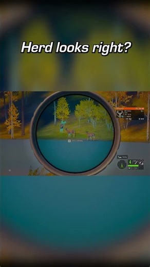 Herd Management 101: The Jingle Every Hunter Needs #shorts #cotw #thehunter #hunting #deer #animals