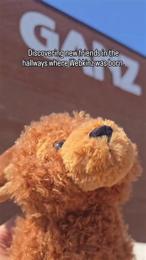 Webkinz available at Learning Express of University Park.