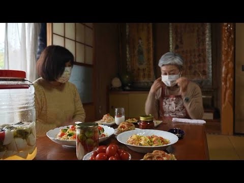 Focus - Now on sale in Japan: World's first genome-edited tomatoes