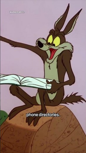 The TRUTH Behind Looney Tunes ACME Products 😲