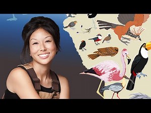 From So Simple a Beginning: Celebrating the Evolution and Diversity of Birds