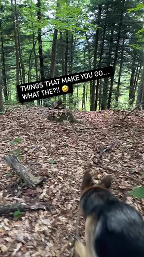 The strangest formations 😀 LIZ of MVMM always entertained by new #crystal #formations 🔥 mvMineralMining.com | Liz of Herkimer Diamonds