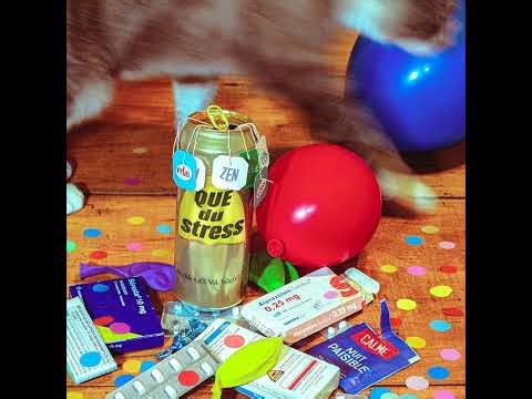 Anaysa- Que du stress