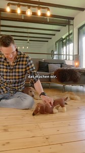 17K views · 297 reactions | Hunde müssen Grenzen lernen. ☝️ Und das...