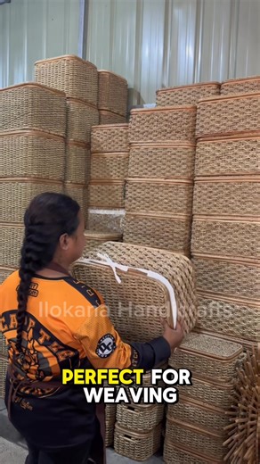 𝗪𝗛𝗔𝗧 𝗜𝗦 𝗕𝗨𝗥𝗜? 👀 It’s the heart behind the basket. A natural fiber known for being matibay pero magaan, carefully harvested and patiently woven by hand. At Ilokana Handicrafts, buri is where the magic begins. ✨ No shortcuts, no rush — just pure tiyaga, skill, and respect for the craft from start to finish. From everyday essentials to fully customized bulk orders, buri allows us to shape pieces that match your brand’s colors, purpose, and story. This is buri. This is handmade. This is I