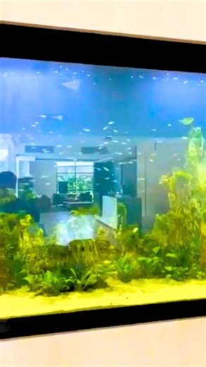 A 10-foot giant… filled only with thousands of tiny fishes. Sometimes, the smallest ones make the biggest impact. | Fishabitat by Jun Jimenez