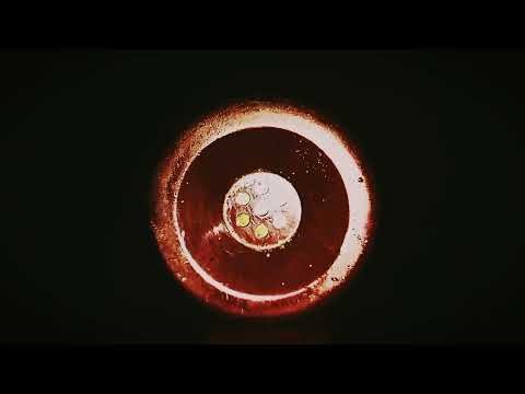 CHARLES ÉRIC CHARRIER - CALL RAY (CLIP OFFICEL)