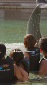 49K views · 139 reactions | You need a break – a spring break full of adventures and memories. Hilton has your stay. | Hilton | Facebook