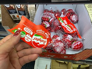 [Hot Item] Blank 210um Eco Top Fruit Labeling in Mesh Bags Fruit