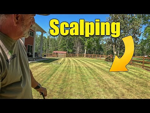 Spring Lawn Scalping and Fertilizing