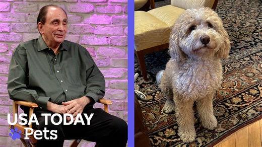 R.L. Stine and Tina Fey's dogs 'hate' each other