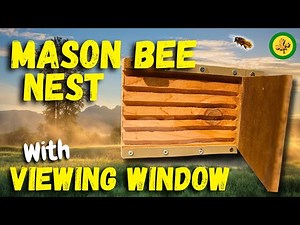 How to Build a MASON BEE VIEWING WINDOW