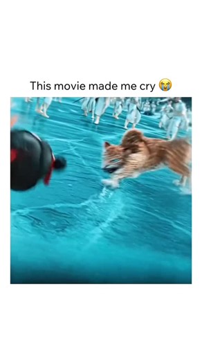 clip on Instagram: "What looks like untouched wilderness can turn into a fully livable neighborhood in a matter of months This timelapse captures the real process of modern residential construction, starting with land clearing and grading, followed by precise foundation layouts, utility trenching, road placement, and structural framing. Each home is positioned according to drainage flow, access roads, and infrastructure efficiency, not aesthetics first. Power, water, sewage, and foundations are 