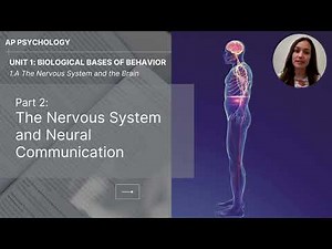 Unit 1A Part 2: The Nervous System and Neural Communication (Updated 2025)