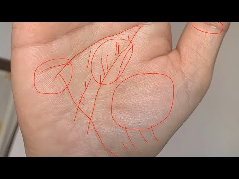 Palm Reading: Women's Hands That Attract Wealth and Success