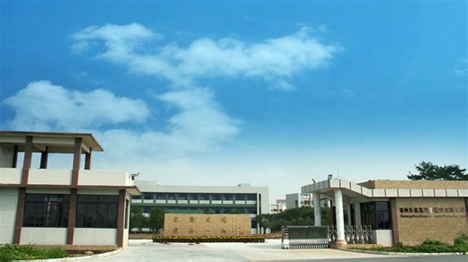 Auto Parts DPS4133 Fuel Pump Assembly 94711917 0580314363  M116180  94770461 94726498  F000TE158Y 0580314362 52060351 for Crowde