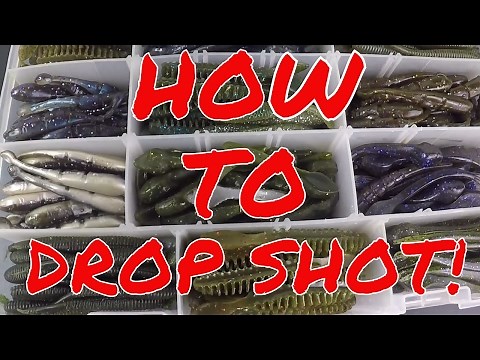 How to Drop Shot, tips and techniques for big bass!