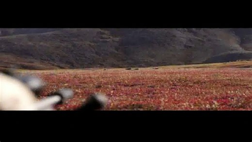 Hawke Sport Optics TV Spot, 'Hunting, Precision and Tactical'