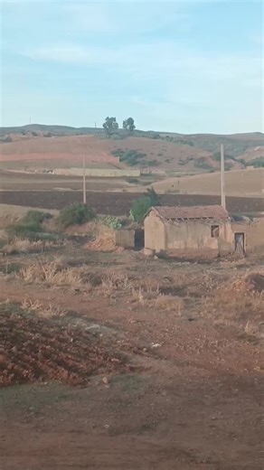 Exploring Serene Rural Landscapes with Freshly Plowed Fields