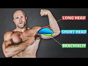 How To Increase Size in EVERY Part of the Biceps