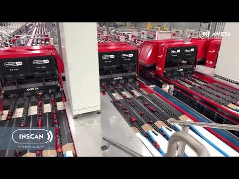 AWETA | Apple sorting & grading line