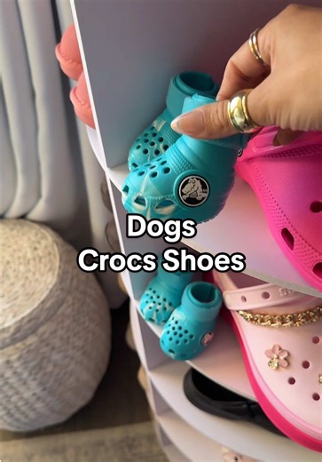 Discover Dog Crocs Shoes for Your Furry Friends